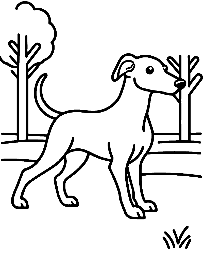 Whippet Coloring Book Page – Free Downloadable PNG — The Fussy Pup