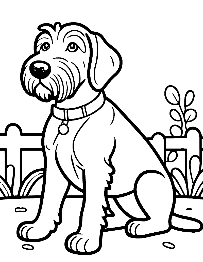 Wirehaired Pointing Griffon Coloring Book Page – Free Downloadable PNG ...